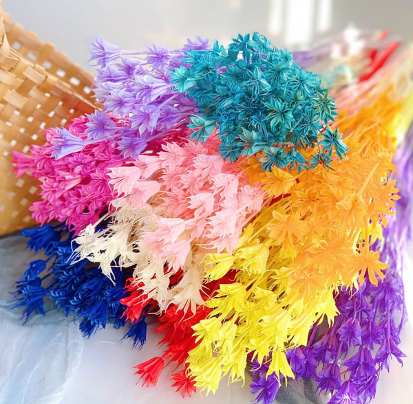 Preserved Octagon Flowers – Bella Bloom SA