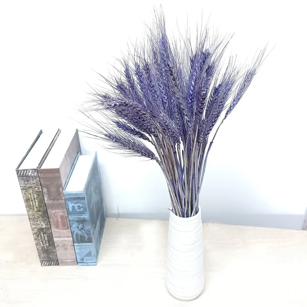 Preserved Wheat – Bella Bloom SA